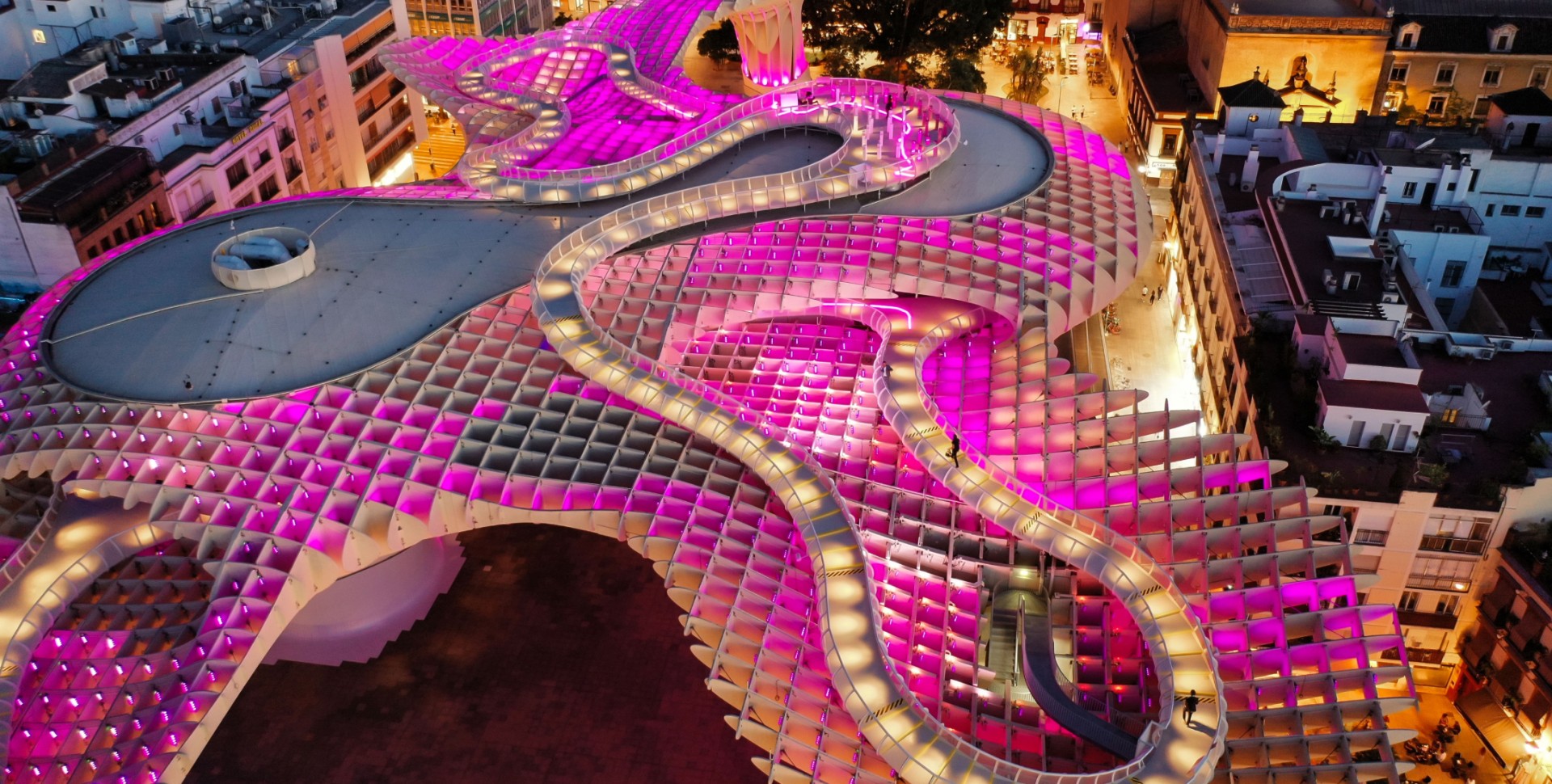 Rosé - Dom Pérignon - Signne Store